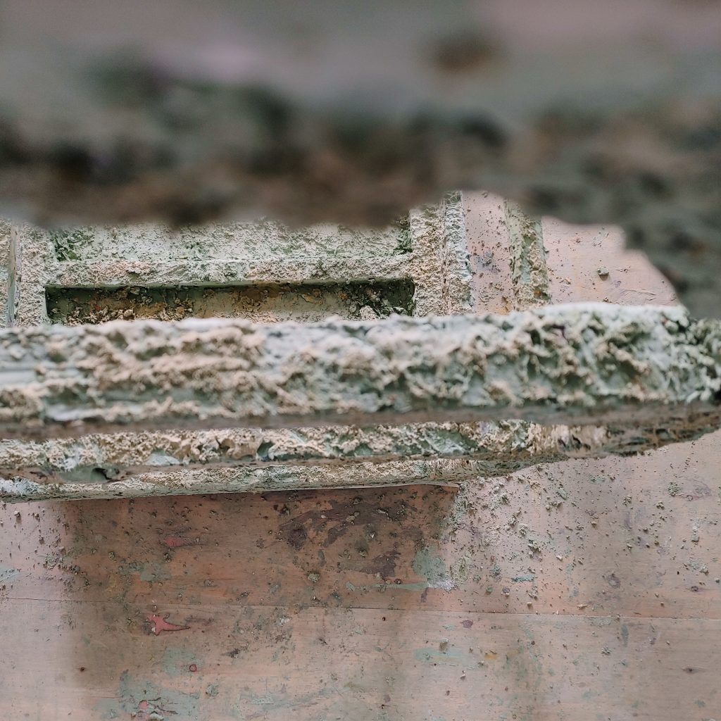 Chan Ting in Conversation with Lukas Tam Wai Ping & 'Moss Wonders ...