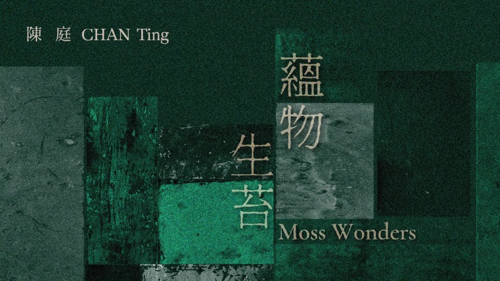 Moss Wonders - Para Site